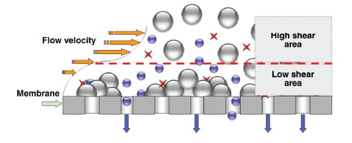 A new spin on reducing membrane-filtration fouling - Chemical ...