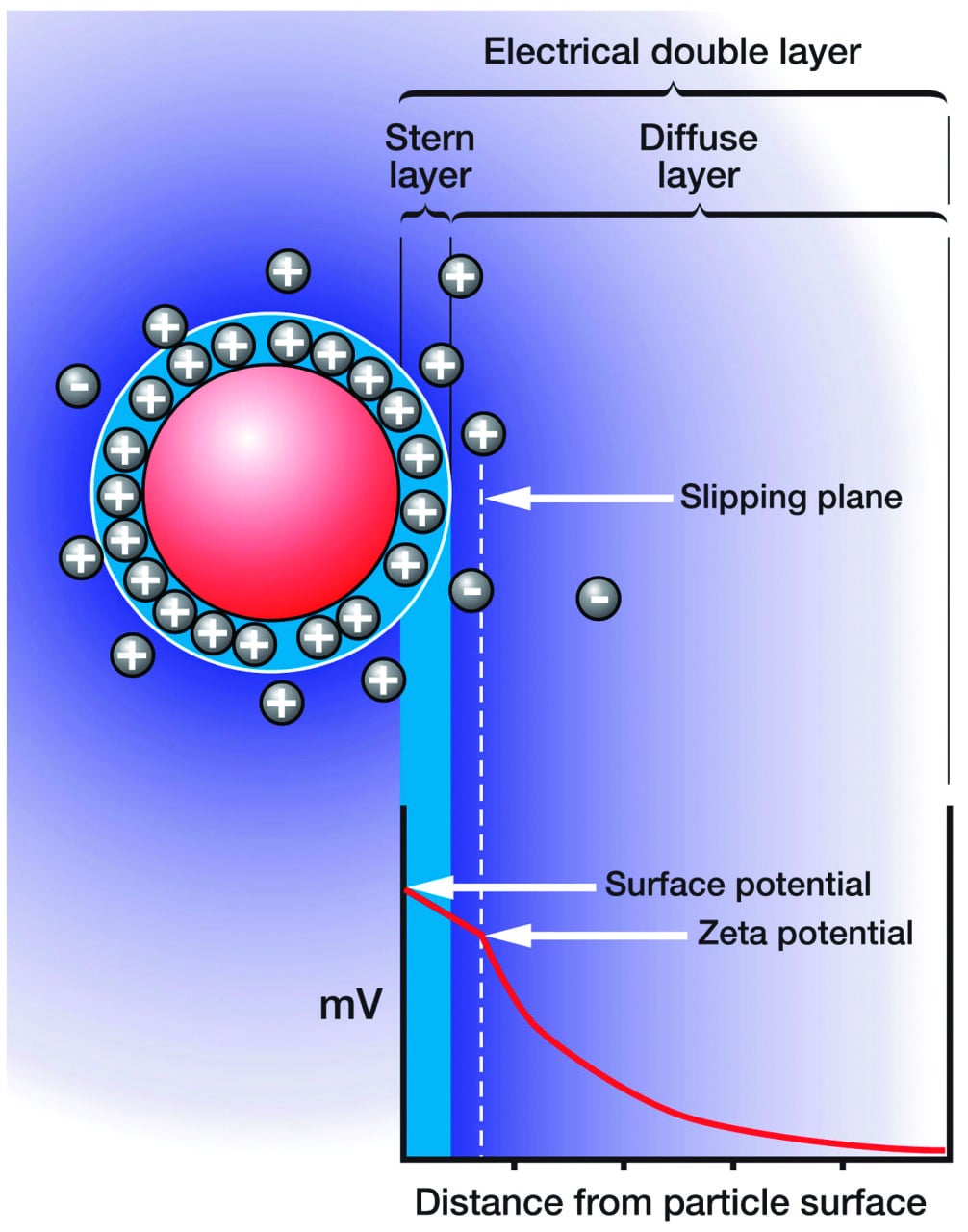 Controlling Suspension Rheology - Chemical Engineering | Page 1
