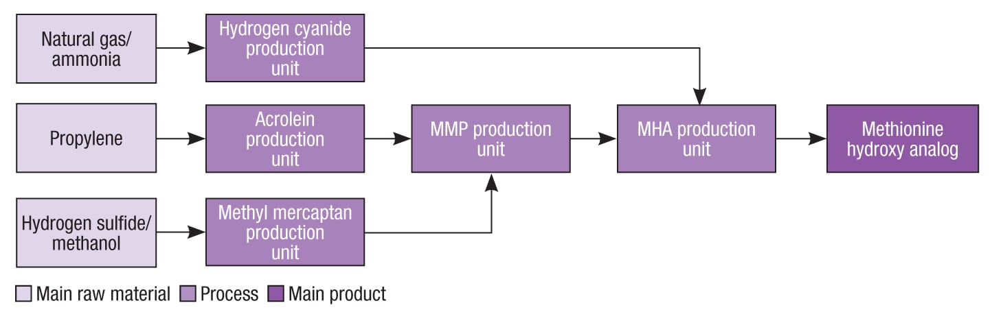 Technology Profile: Methionine Hydroxy Analog Production - Chemical ...