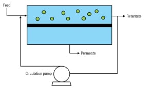 Crossflow Membrane Filtration Essentials - Chemical Engineering | Page 1