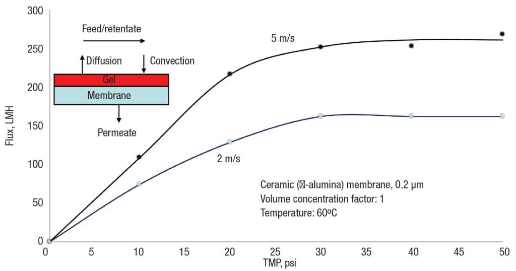Crossflow Membrane Filtration Essentials - Chemical Engineering | Page 1
