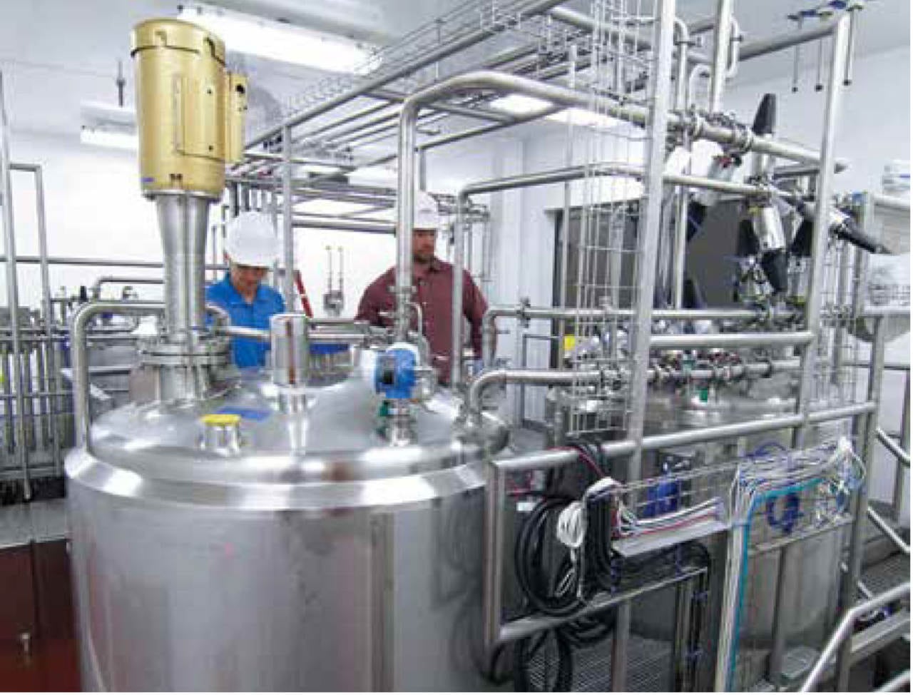 Facts at your Fingertips: Batch versus Continuous Blending - Chemical ...