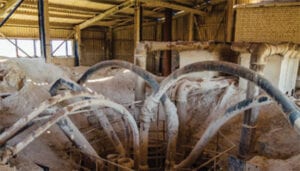 Mitigate Dust Hazards With Good Equipment and System Design - Chemical ...