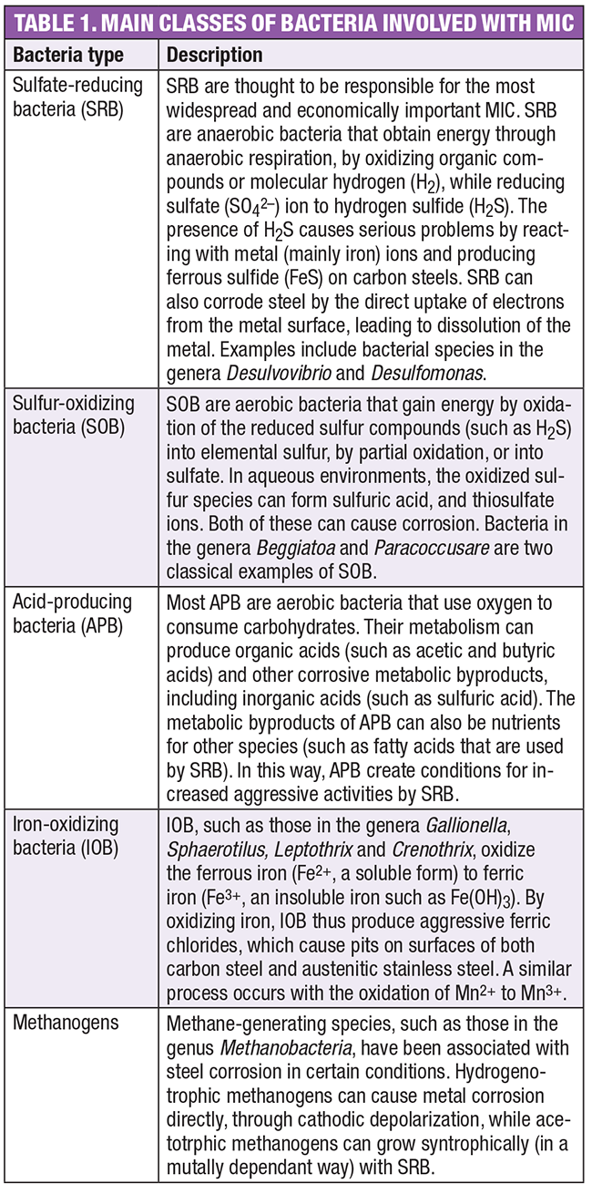Facts At Your Fingertips: Microbial-Influenced Corrosion - Chemical ...