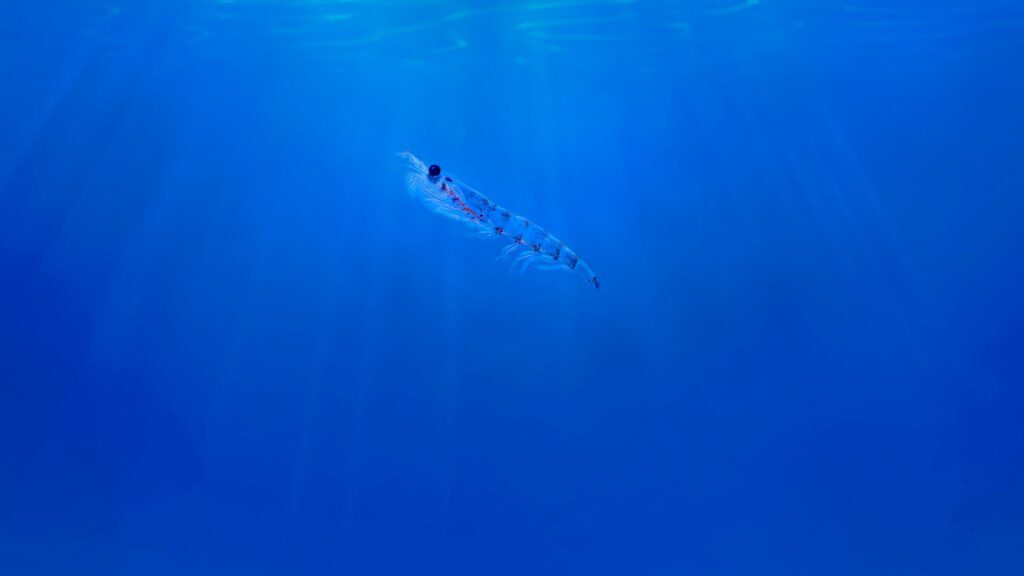 Aker BioMarine and GEA to design the world’s first krill-protein pilot ...