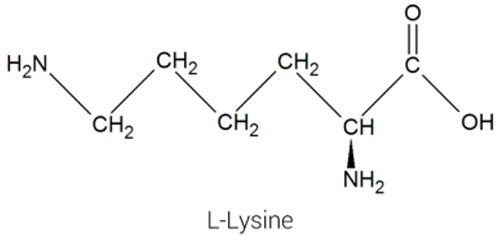 Technology Profile: Production of L-Lysine - Chemical Engineering | Page 1