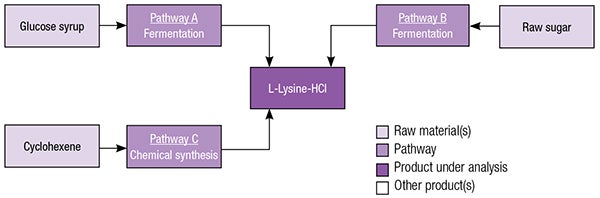 Technology Profile: Production of L-Lysine - Chemical Engineering | Page 1