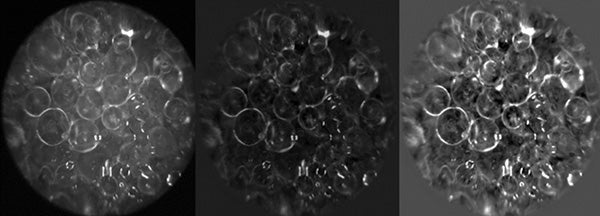 Real-Time Particle-Size Analysis Technologies: Overview and Case Study ...