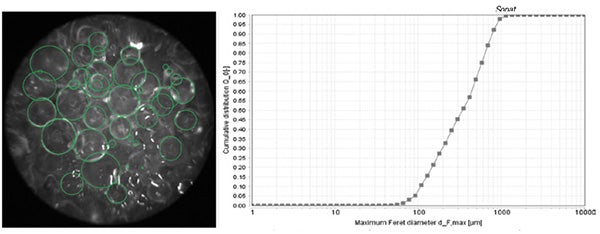 Real-Time Particle-Size Analysis Technologies: Overview and Case Study - Chemical Engineering ...